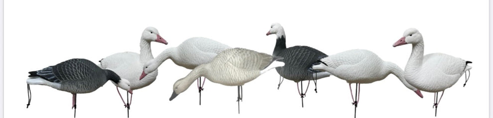 Light’N’Load Snow Goose Pro Pack Decoys (12 Pack) – BlindGrass