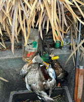 Synthetic Blind Grass Camouflage – BlindGrass