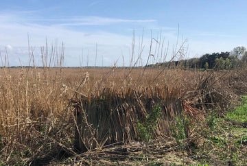 Products – BlindGrass